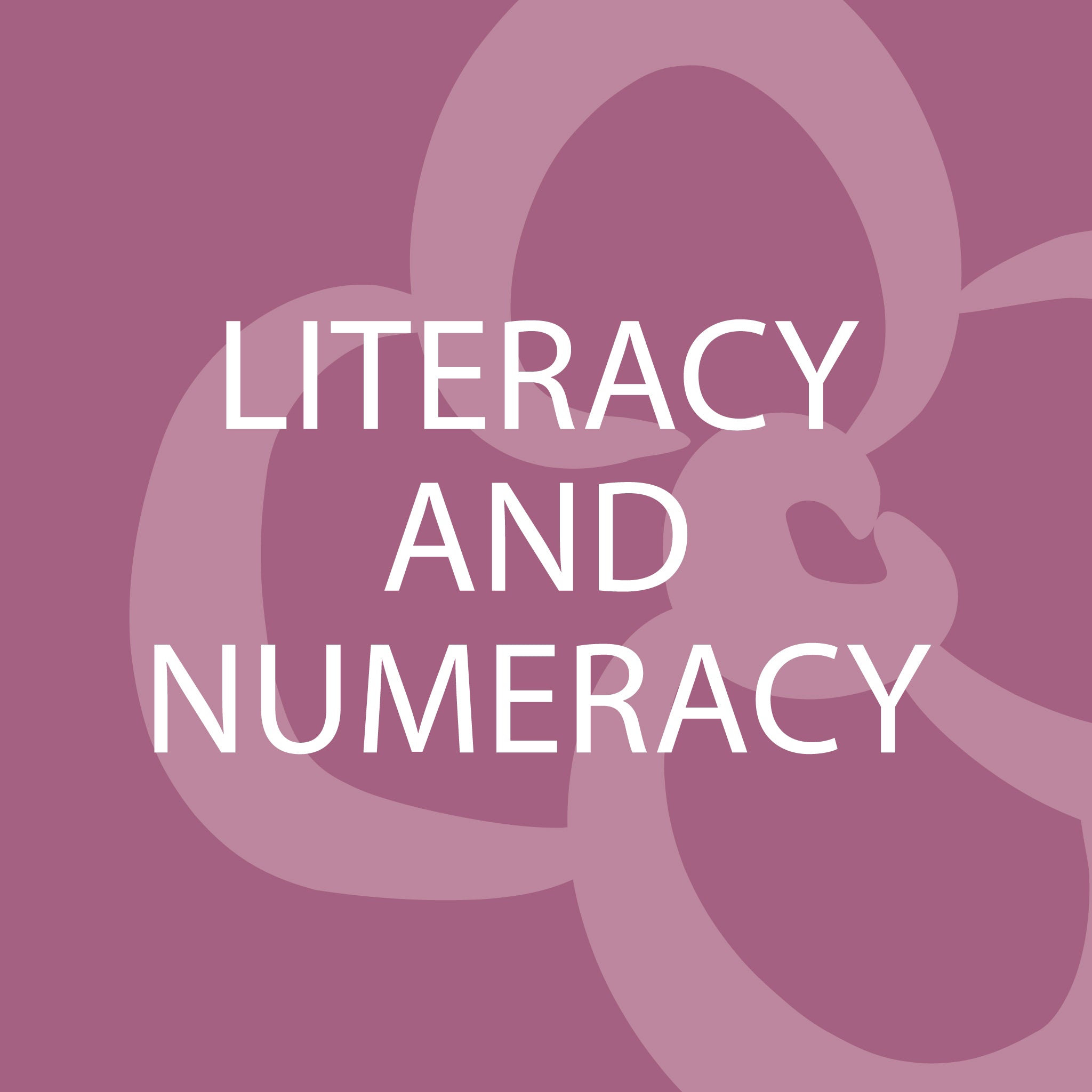 Literacy and Numeracy | Classroom Resources